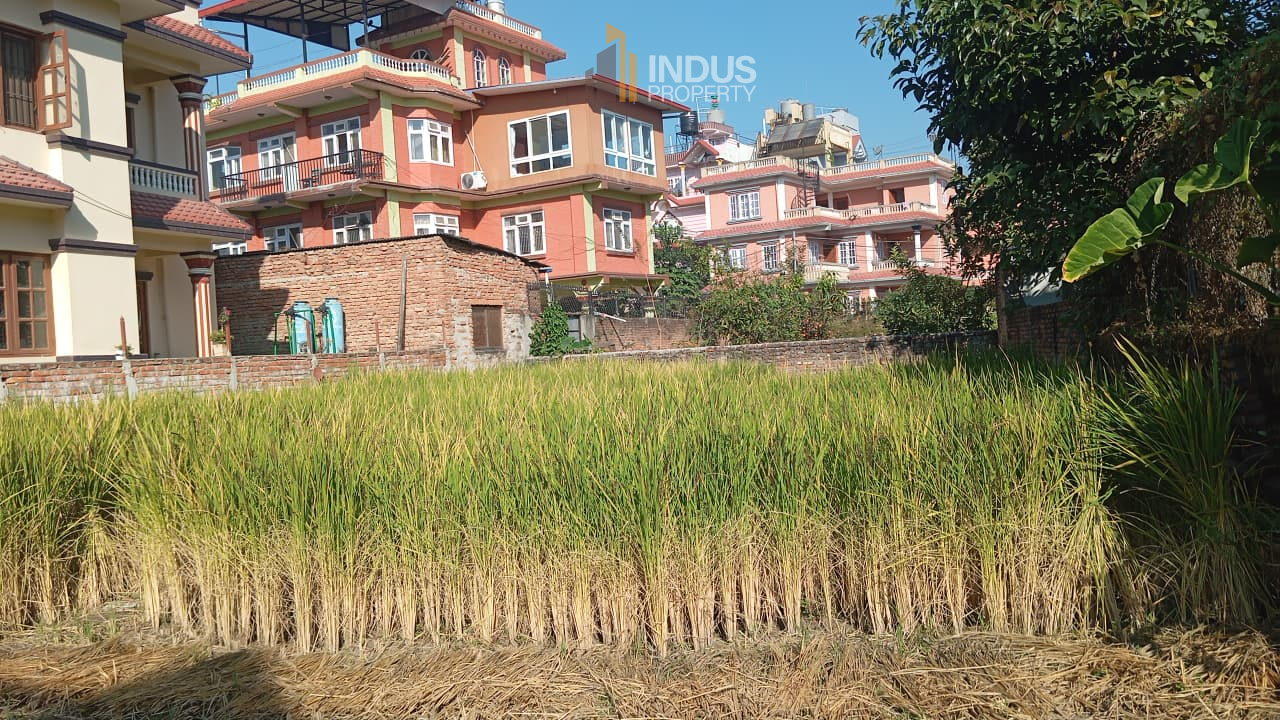 Nepal Homes
